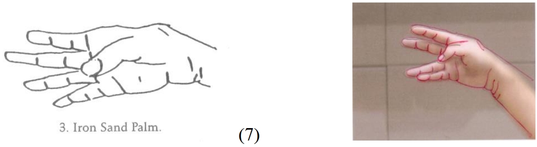 唐 Táng 手 Shǒu, the Forgotten Martial Art. | BUNKAI - MONK STYLE by ...